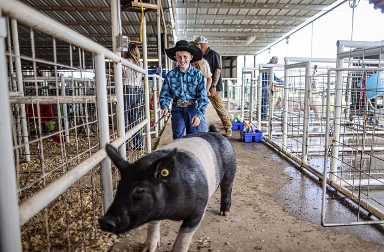 Animated farm animals and well-prepared youth make the Santa Fe County ...