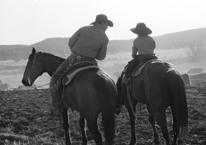 Close to the land: Photographs by Barbara Van Cleve | Books ...