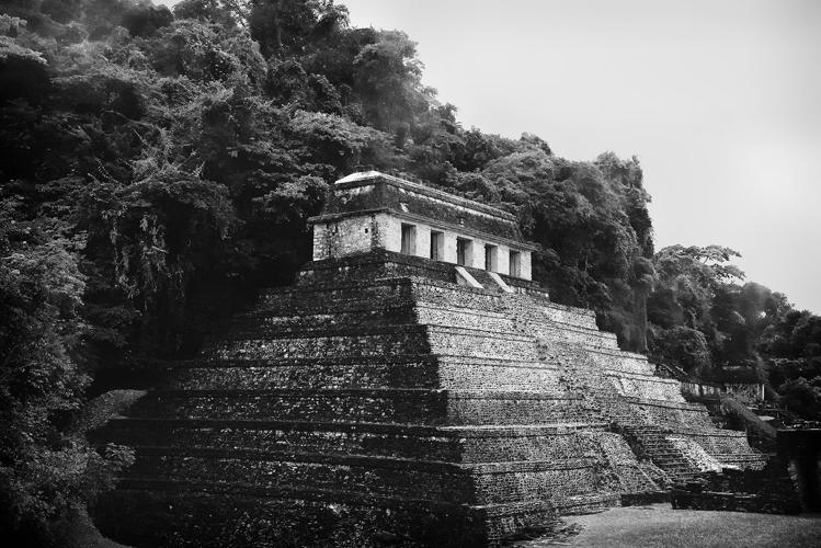 peyton wright harvard