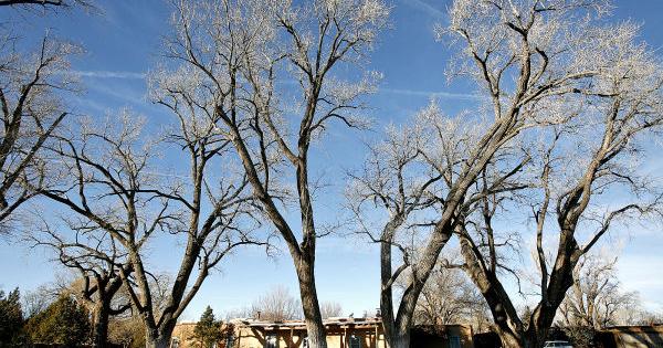 Galisteo Inn to close its doors | Local News | santafenewmexican.com