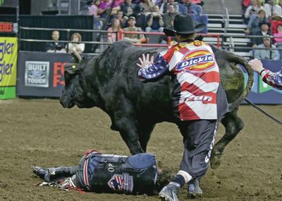Helmets fail to protect bull riders from concussions | Sports ...
