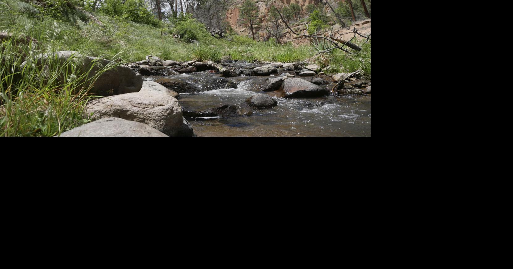 Light rain, critical fire weather expected in New Mexico this week ...