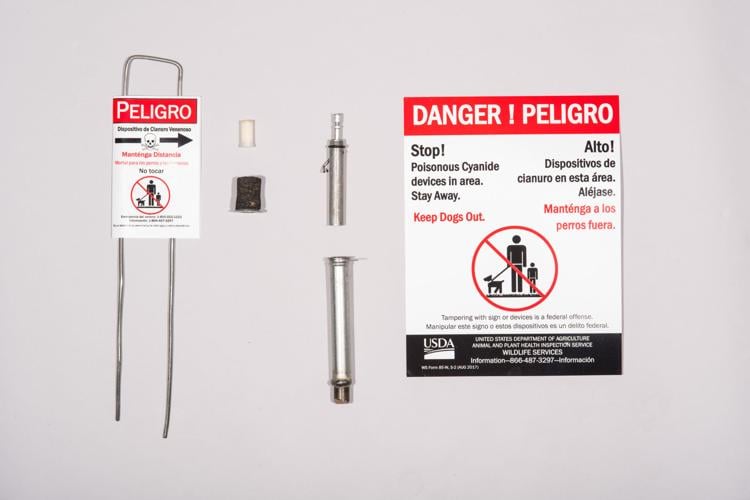 EPA again allows use of cyanide ‘bombs’ on coyotes | Local News ...