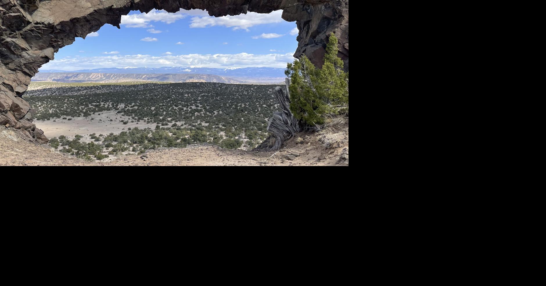 Caring for our forests takes deep-rooted wisdom | My View ...