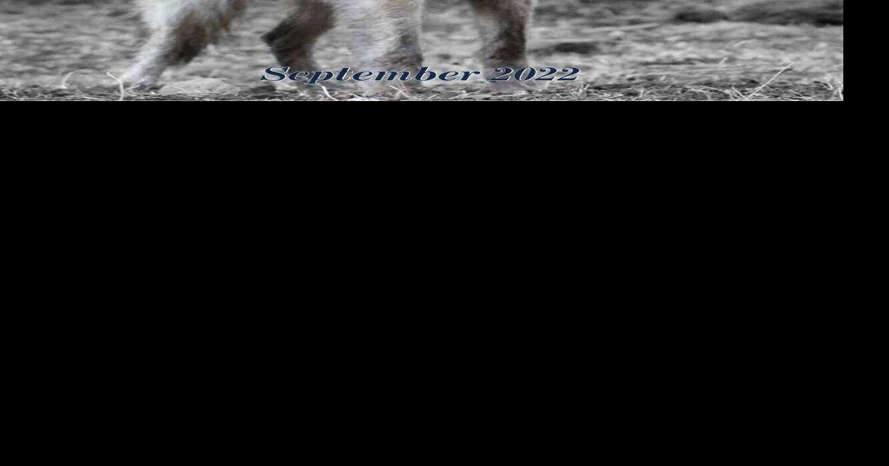 Richard Nixon, Mexican wolves and five decades of history | Local News ...