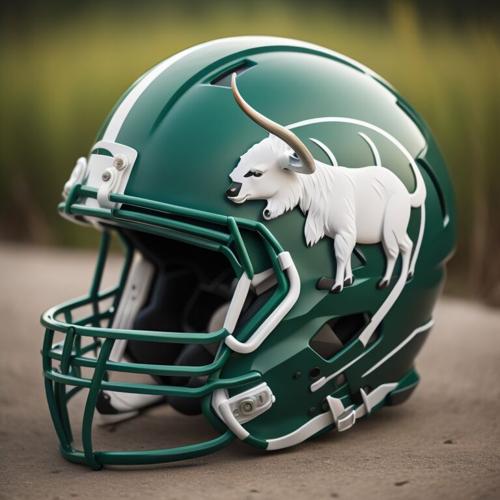 AI has unusual take on area prep football helmets | Sports ...