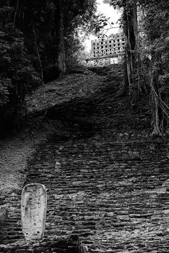 peyton wright harvard