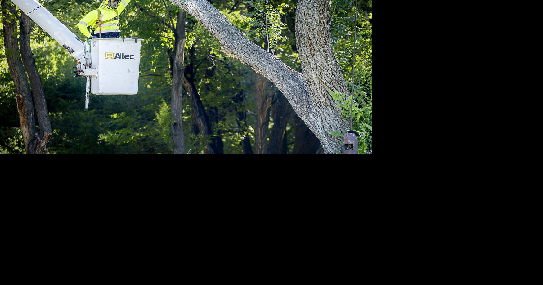 PNM trimming trees Monday at Fort Marcy park | Local News ...