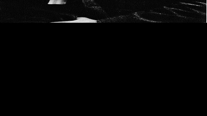 Trail Dust: Mesa Verde pioneer Richard Wetherill met a tragic end ...