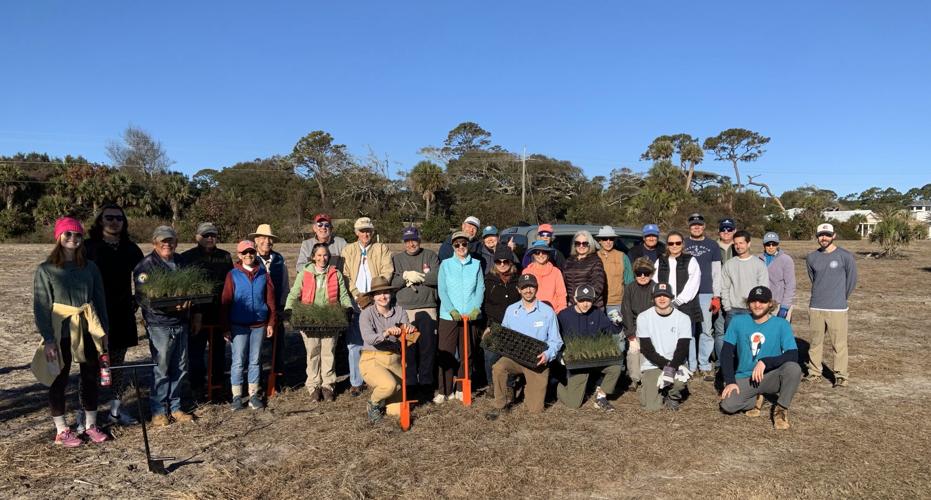 March 23 - Georgia Audubon Receives Grant for Additional Habitat ...