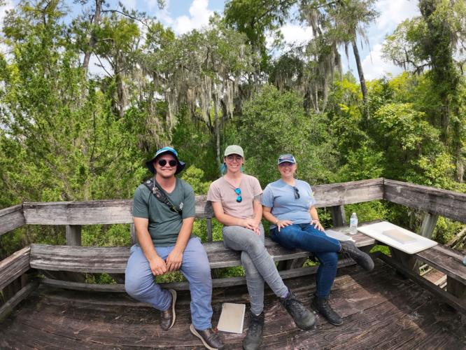 Nov. 14 - Savannah Tree Foundation aims to plant 50% more trees this ...