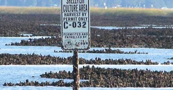 May 16 - SC Department of Natural Resources Using Several County Boat Landings for Annual ...