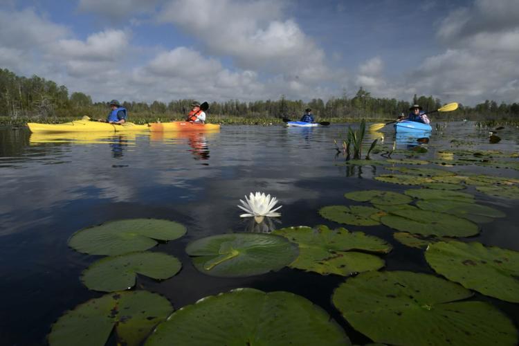 Jan. 12 - Georgia Rivers Releases Slate of River Adventures for 2026 ...