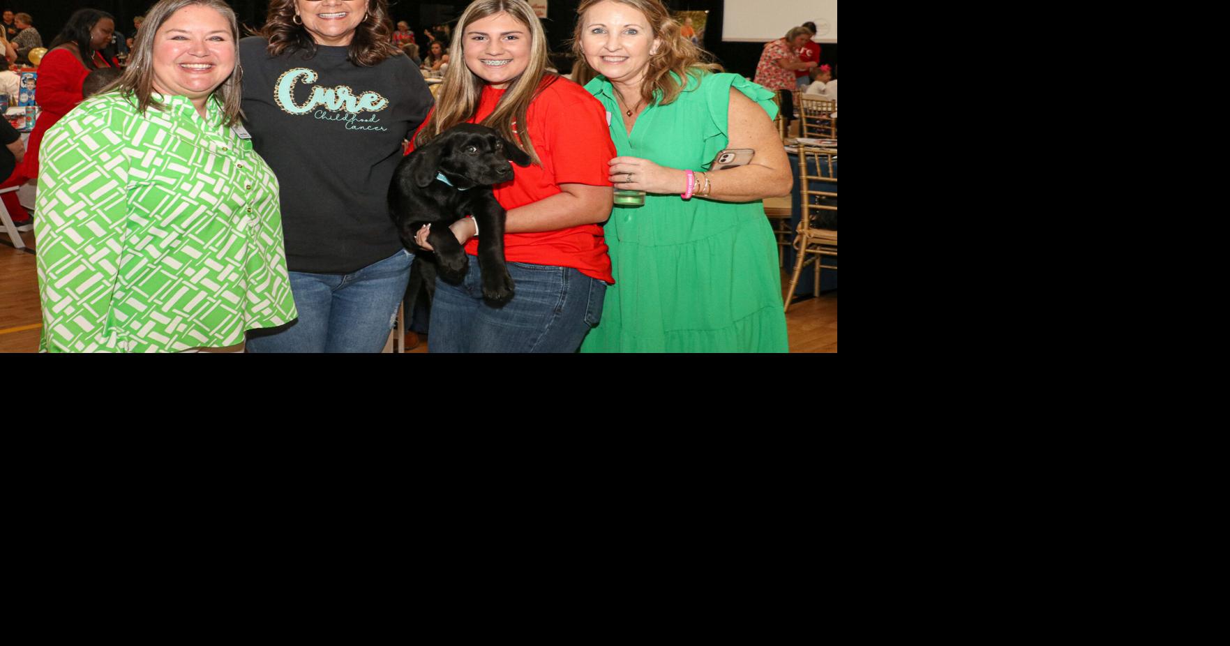 14th Annual Catie's Gathering Effingham Presented by Springfield ...