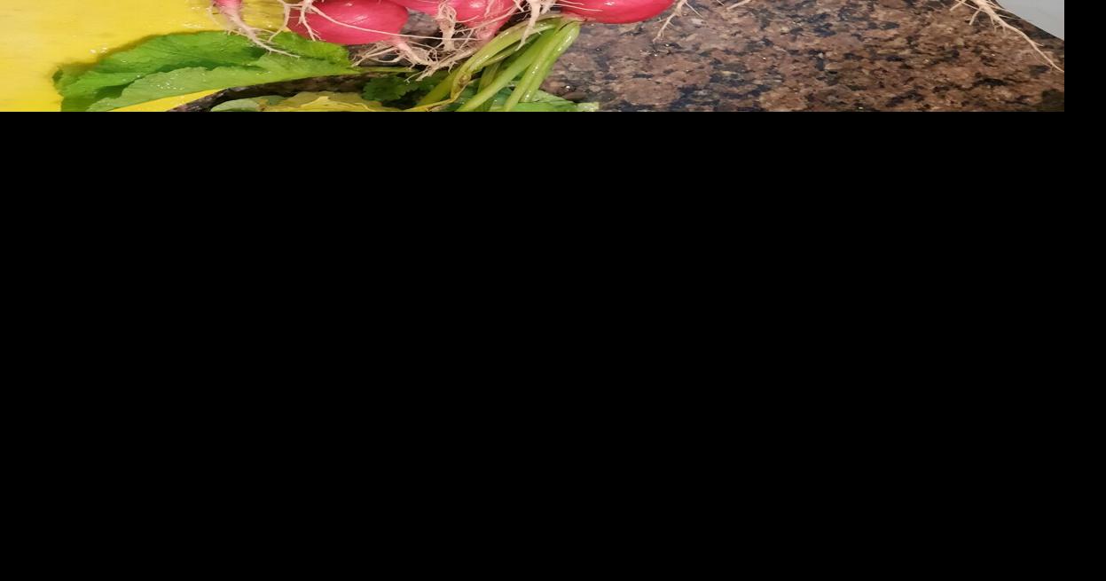 GREG PRYOR: RADICAL RADISHES: Don't overlook this easy-to-grow food
