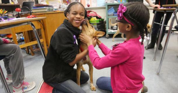 Dogs in classroom helping students learn empathy