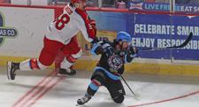 Pee Dee IceCats sweep Athens Rock Lobster to win series