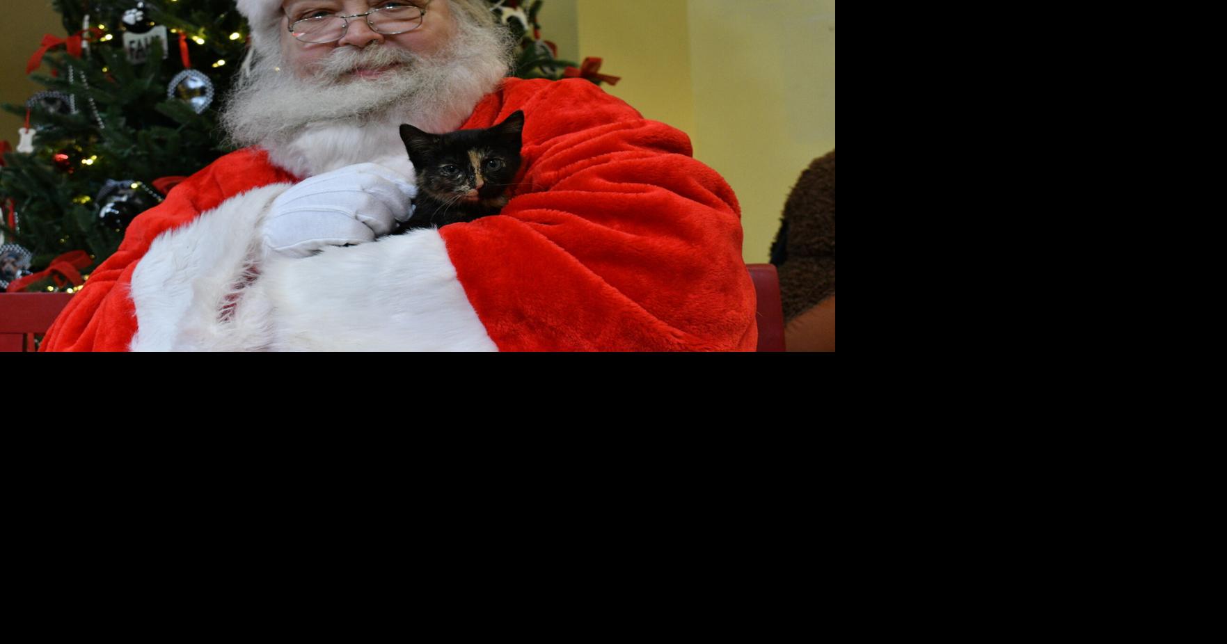 Mutts, Meows and Mistletoe ends with Santa pictures, pet adoptions