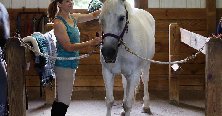 Tally Ho Equestrian Center