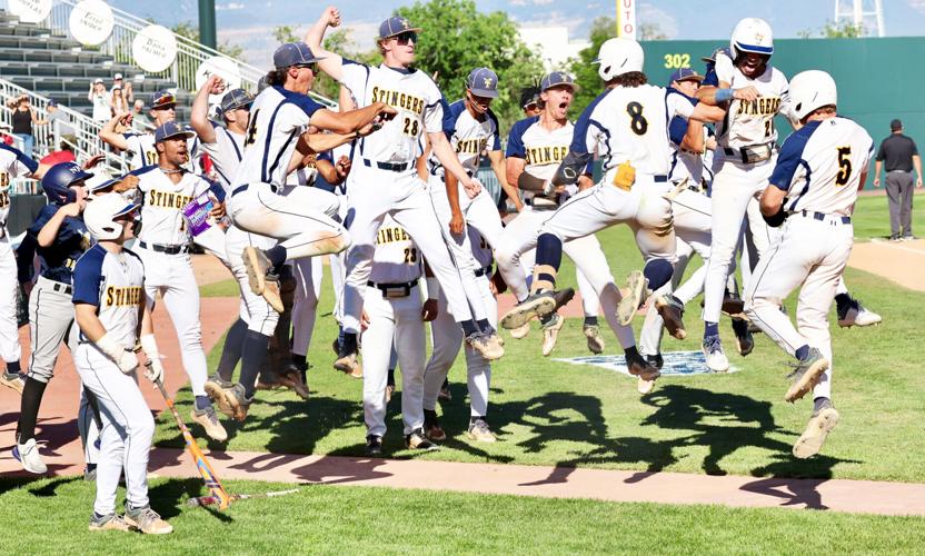 Blinn outlasts FDTC in slugfest as Stingers' season ends