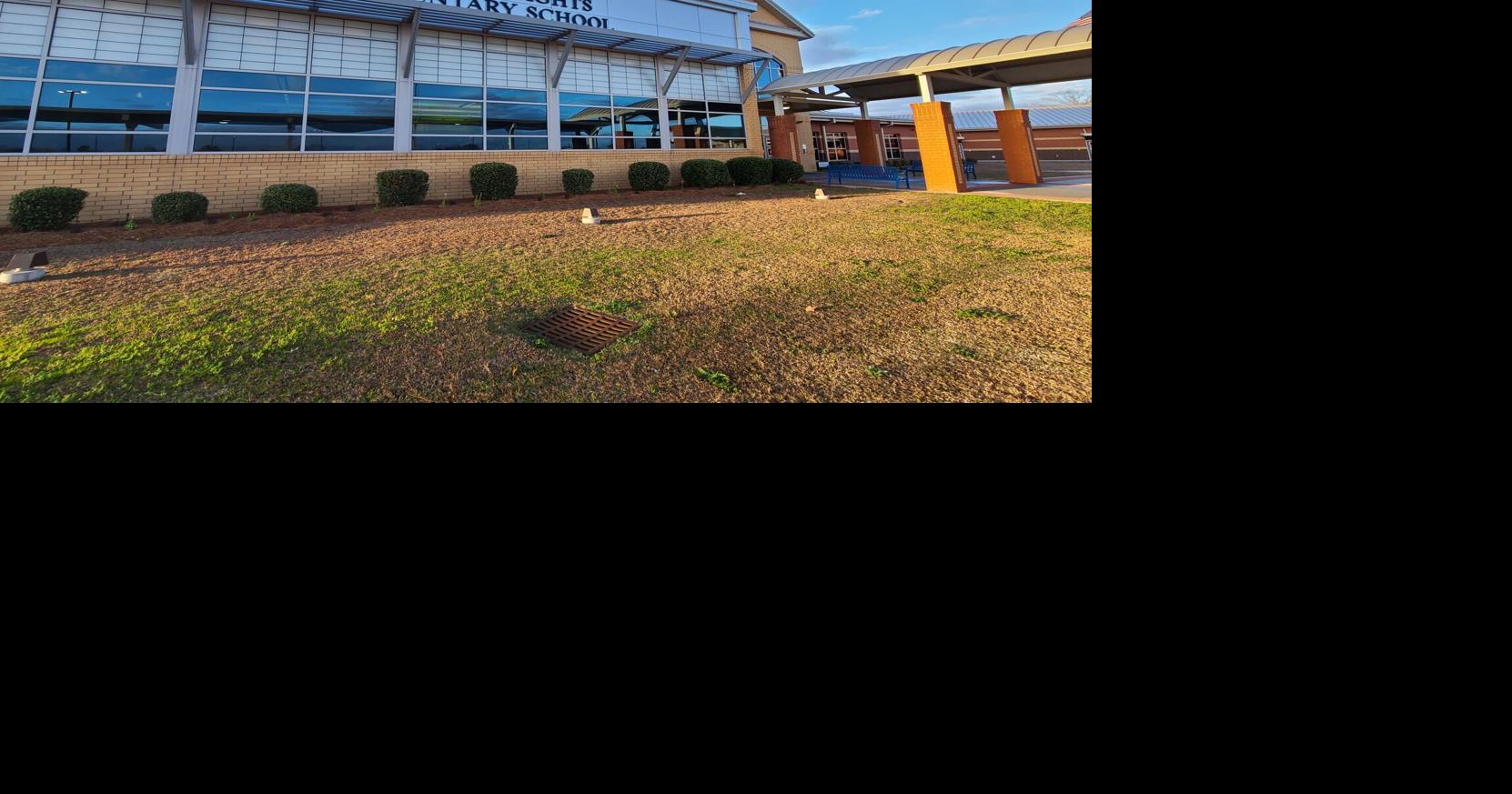 Delmae Elementary named one of state's best schools