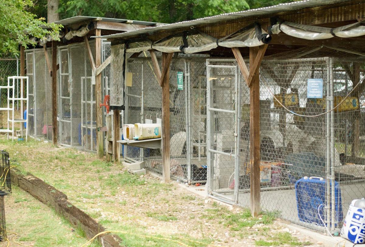 PHOTOS: The Darlington County Humane Society