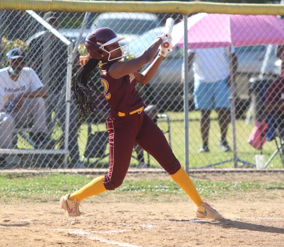 Marion Lady Swamp Foxes softball on a roll in lower state title series