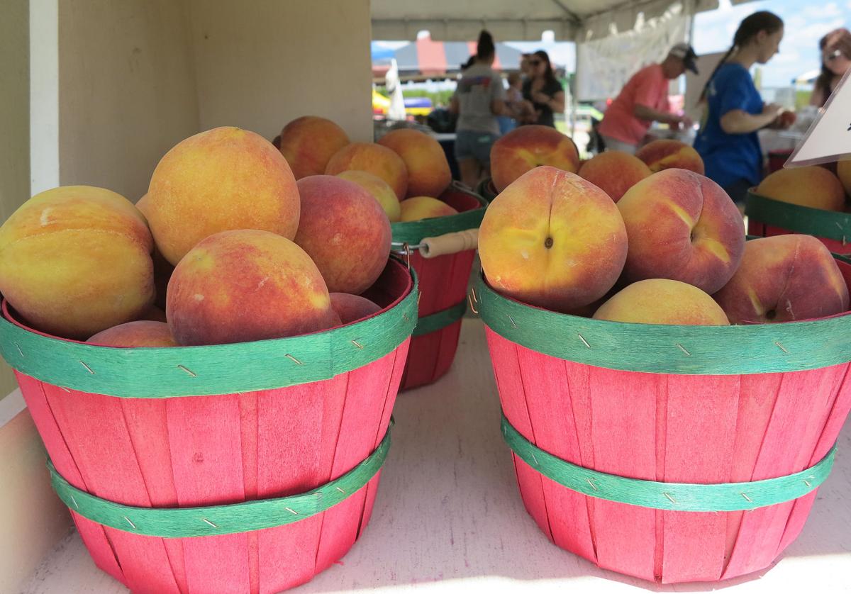 McLeod Farms hosts Peach Festival | Pee Dee Weekly | scnow.com