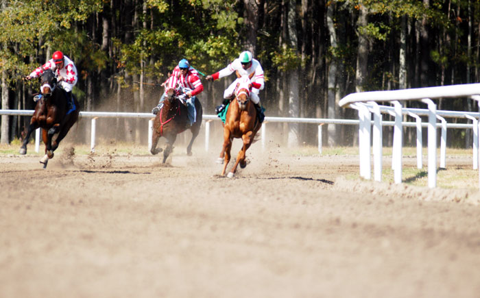 Williamsburg's Fall Classic: the King's Tree Trials horse races