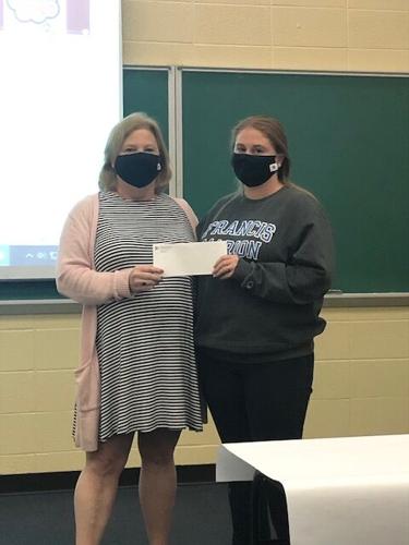 Johnsonville student earns scholarship