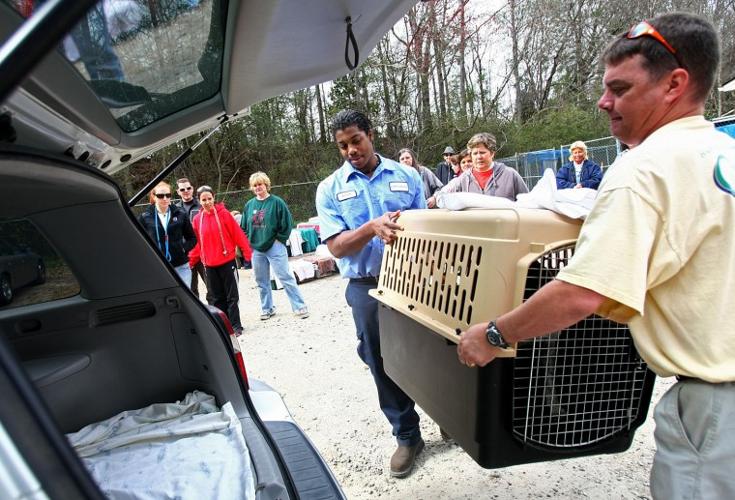 Pet parade marks new era for Florence animal shelter