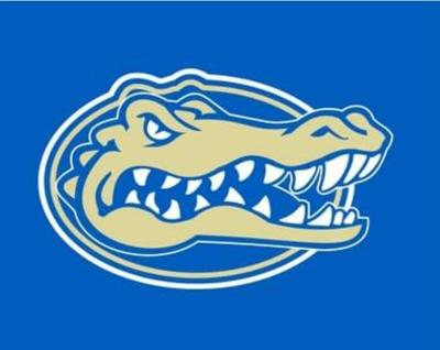 HIGH SCHOOL ROUNDUP: Lake View girls' volleyball loses in Class A lower ...