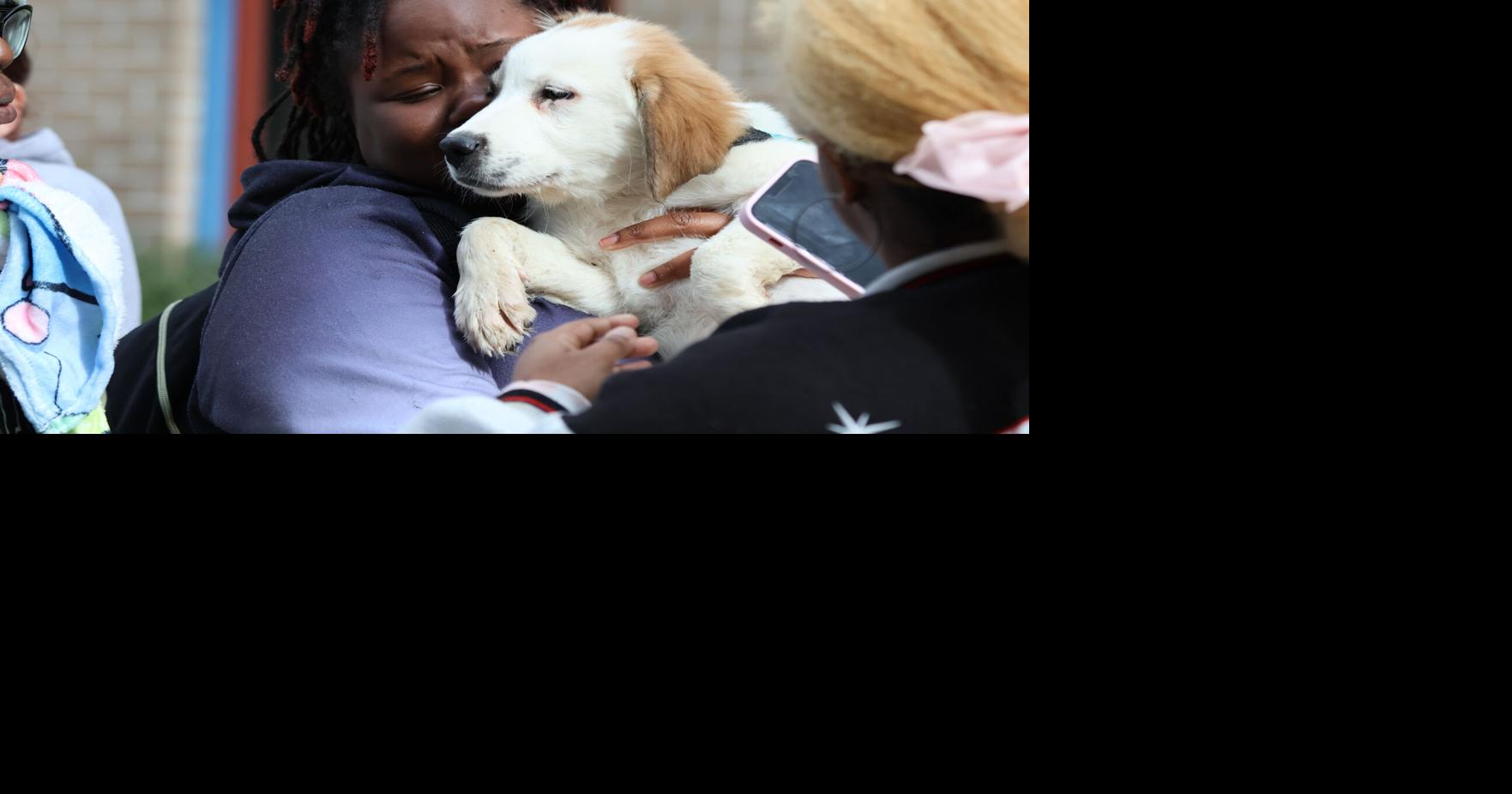 FMU hosts 'Pause 4 Paws' to help students, staff de-stress