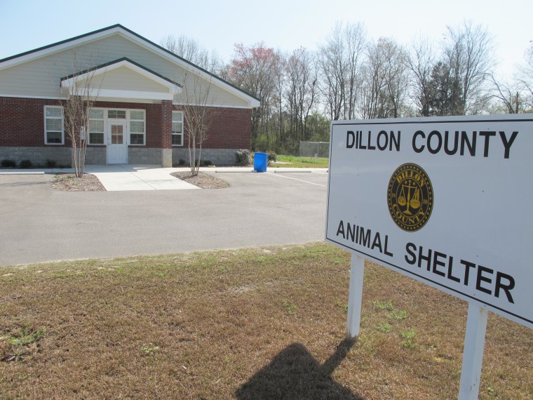 Volunteers express concerns about welfare of animals at Dillon shelter ...