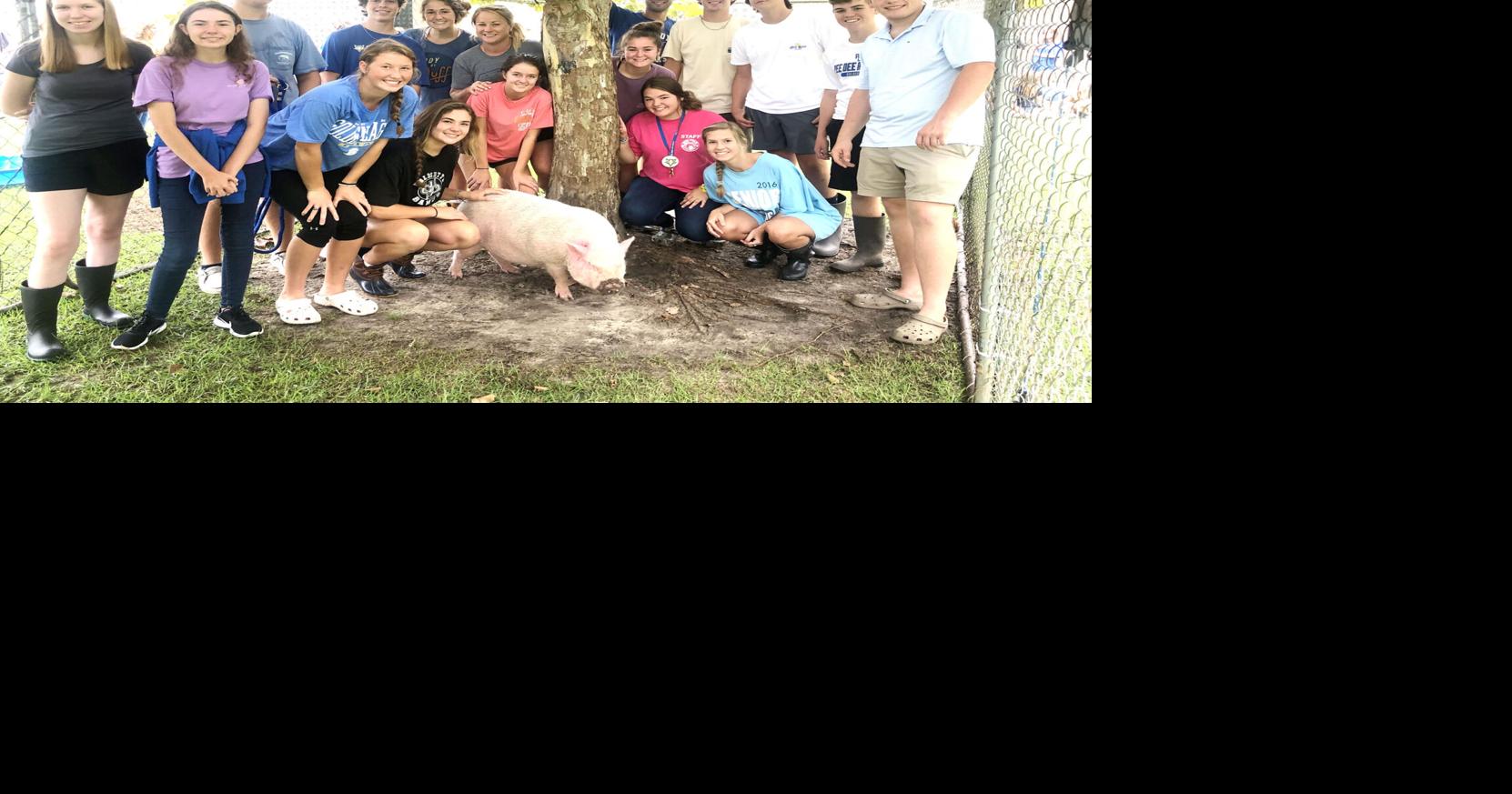 Pee Dee Academy Agricultural Science class adopts a potbelly pig