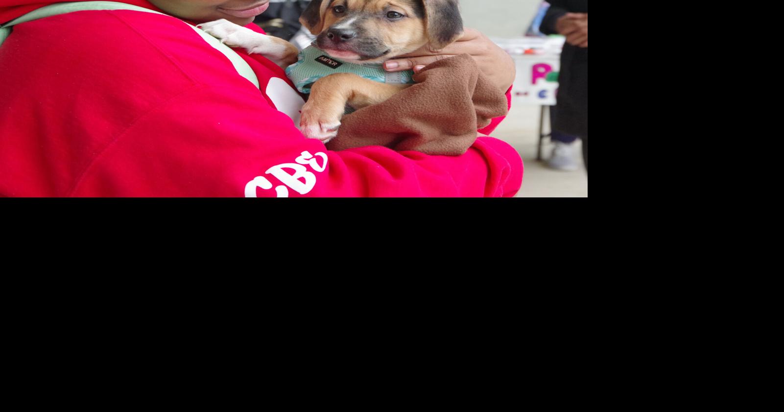 PHOTOS: Pause for Paws