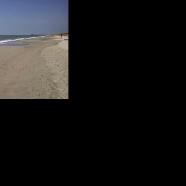 Some Horry County beaches look different after Irene