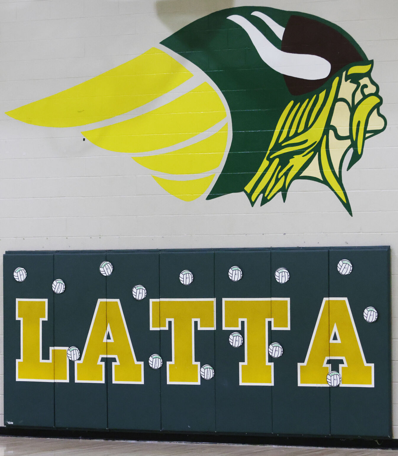Latta volleyball sweeps Johnsonville in state playoffs