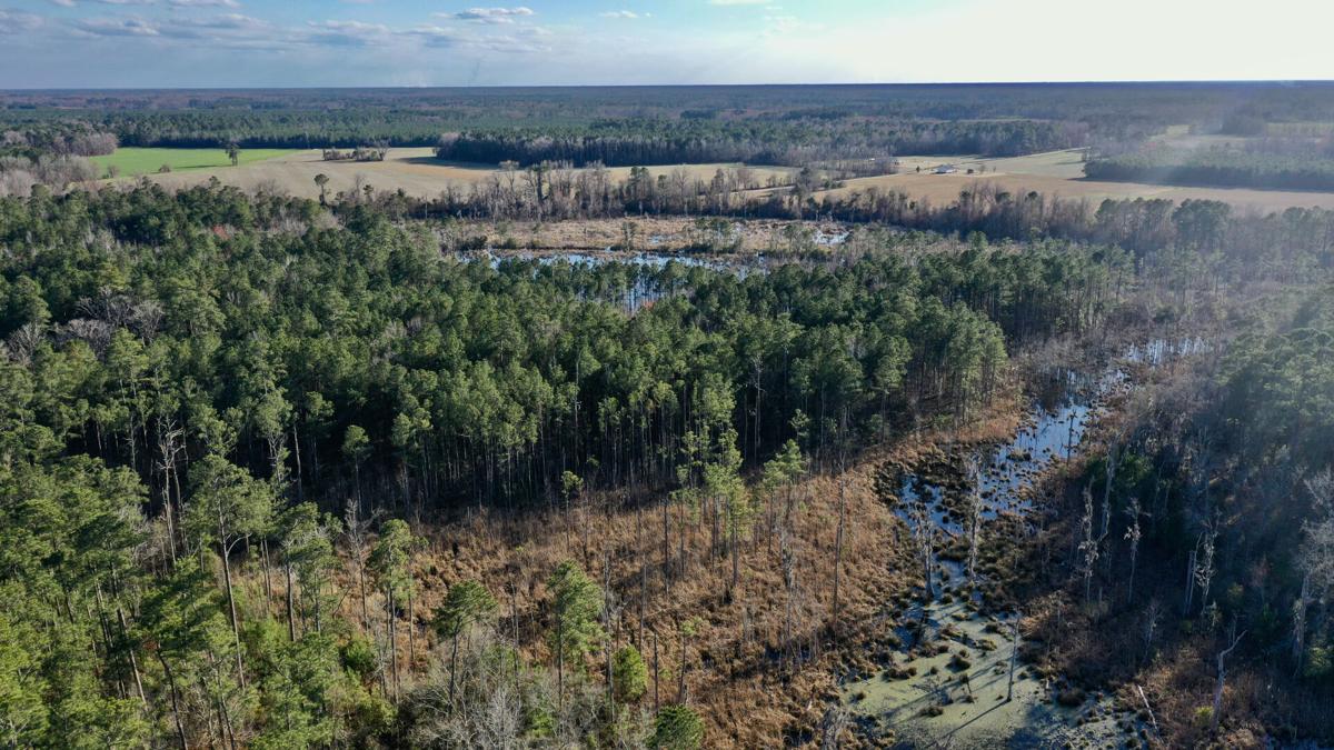 Florence County to add Independence Farm as new county park