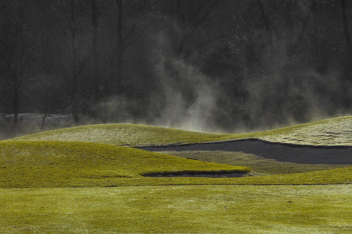 Certified turf means better outcomes for turfgrass managers and homeowners