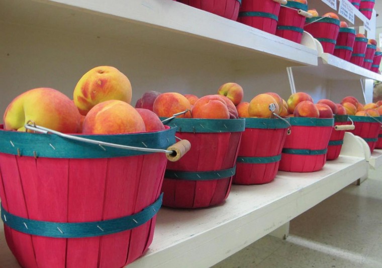 Top of the crop: McLeod Farms named S.C. Farm of the Year