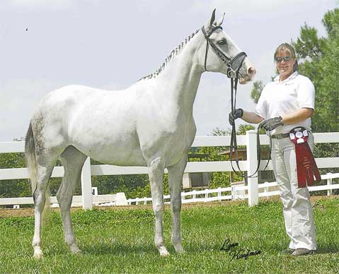 Whitehaven horse, rider win at East Coast Championships