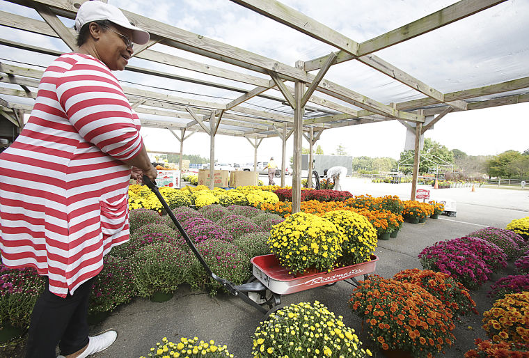 Pee Dee Fall Plant and Flower Festival