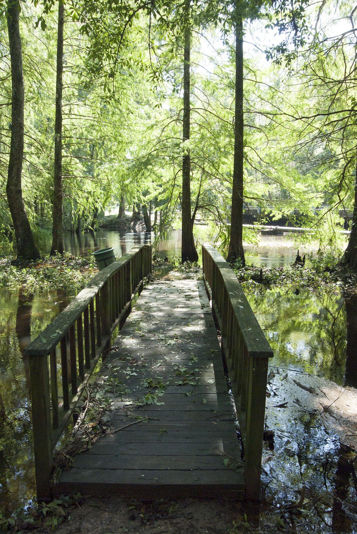 Jeffries Creek through Florence | News | scnow.com
