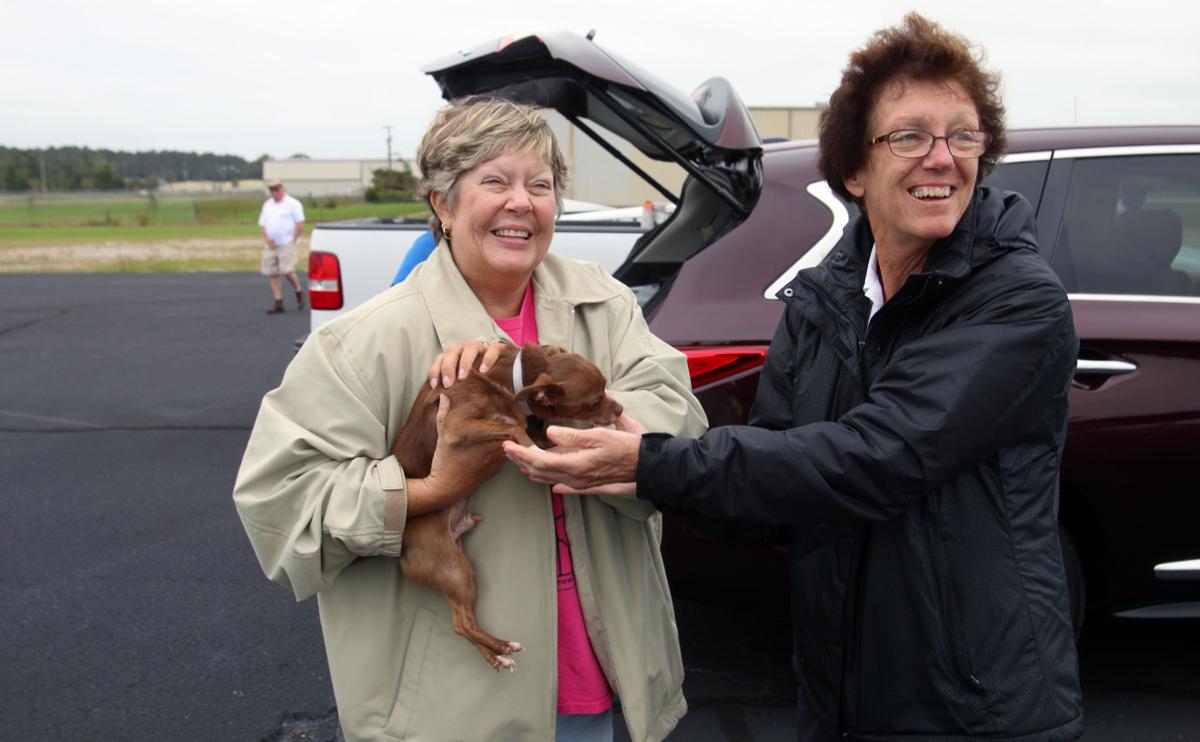 Pilots N Paws Rescue Flight | Gallery | scnow.com