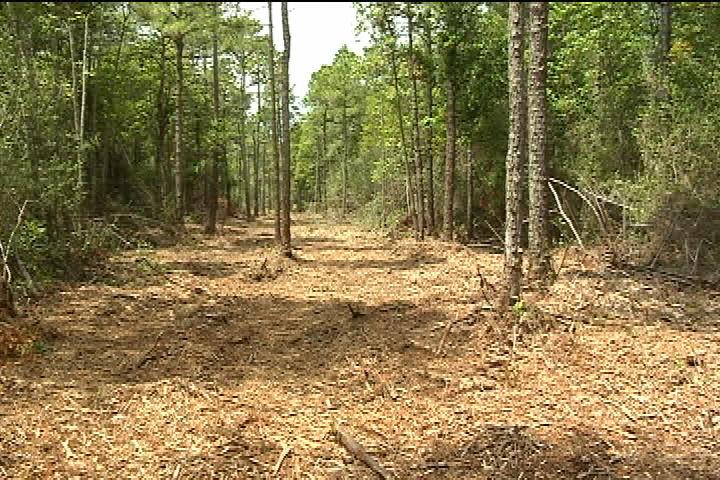 Horry residents take precautions 3 years after Highway 31 fire