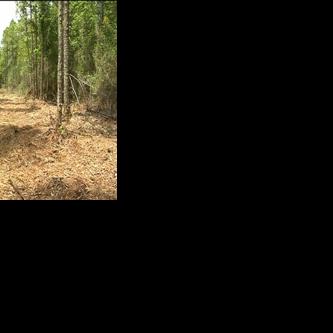 Horry residents take precautions 3 years after Highway 31 fire