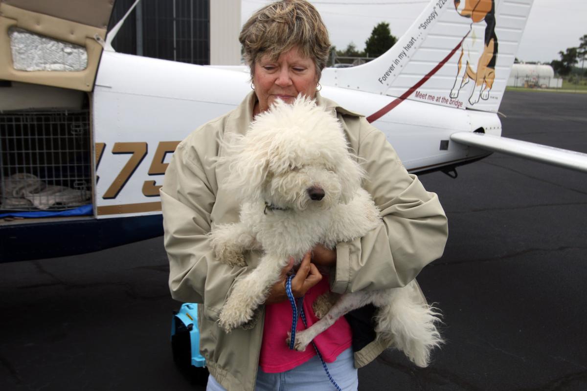 Pilots N Paws Rescue Flight