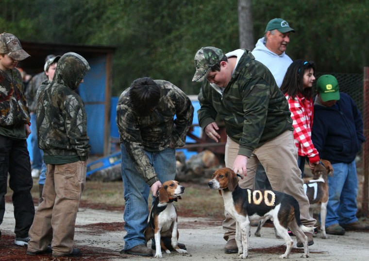 Beagle trial raises money for Florence County Sheriff's boodhound team ...