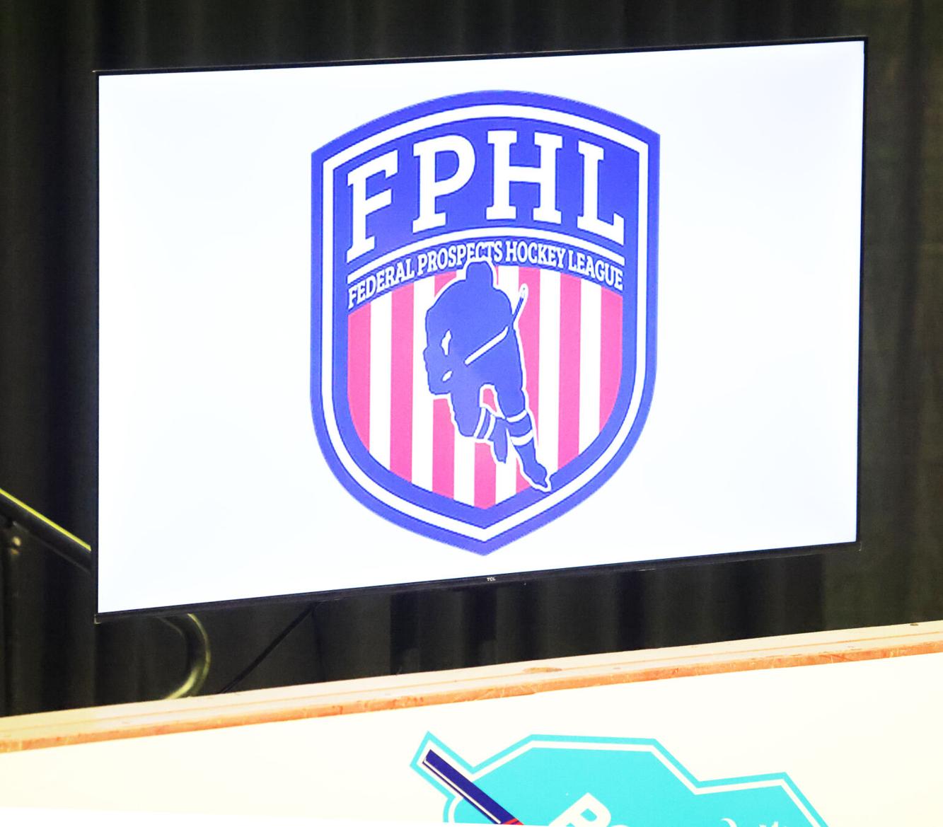 Hockey will soon drop the puck again in Pee Dee